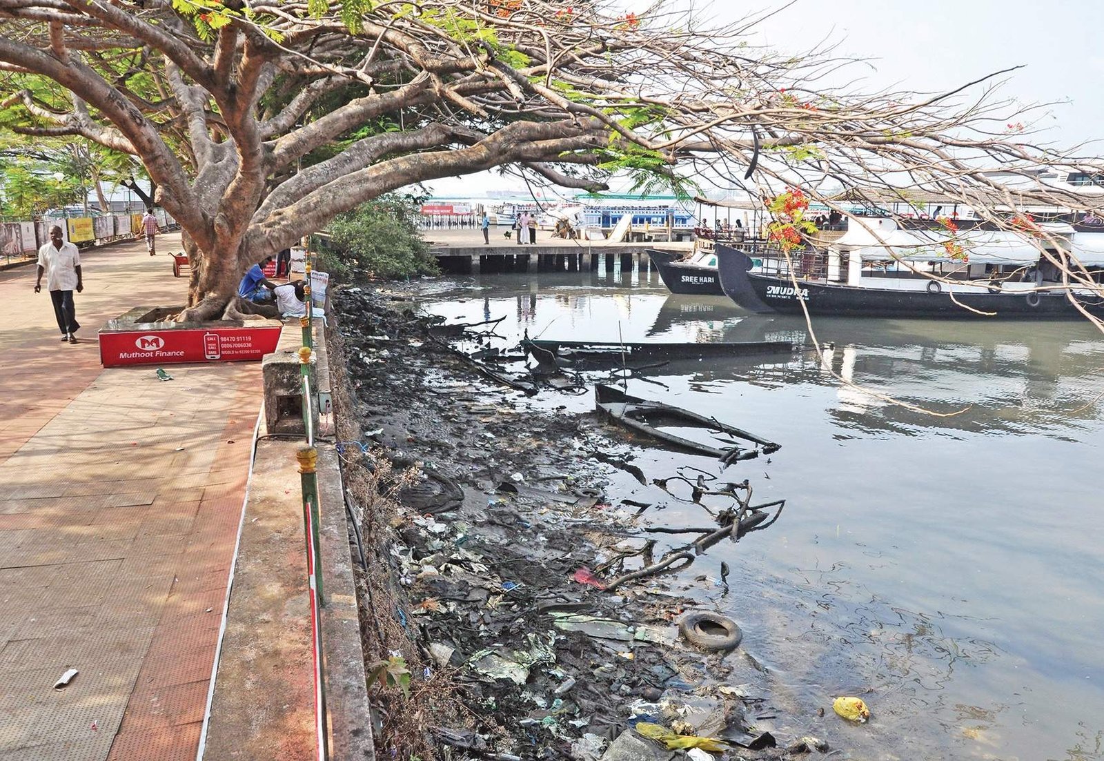 Kochi Water Metro Project Approved To Environmental, CRZ Nod From ...